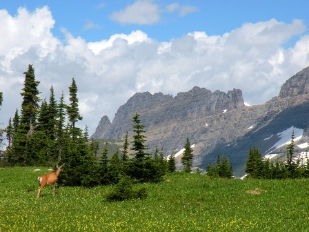 Goin' RV boondocking